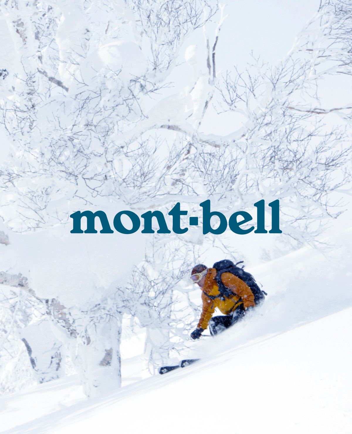 Features – Solewhat